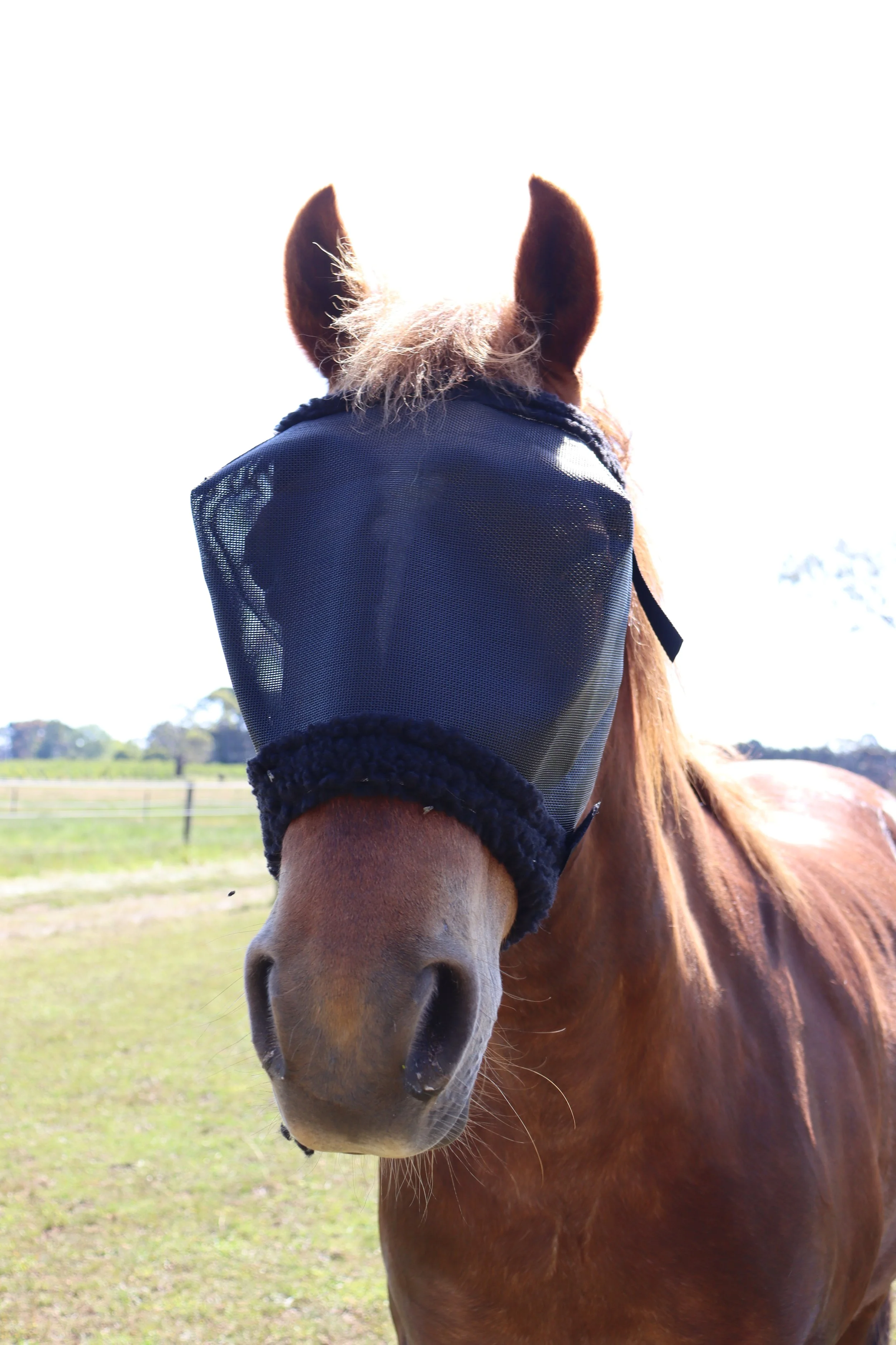 Fur Flyveil — Flyveils by Design