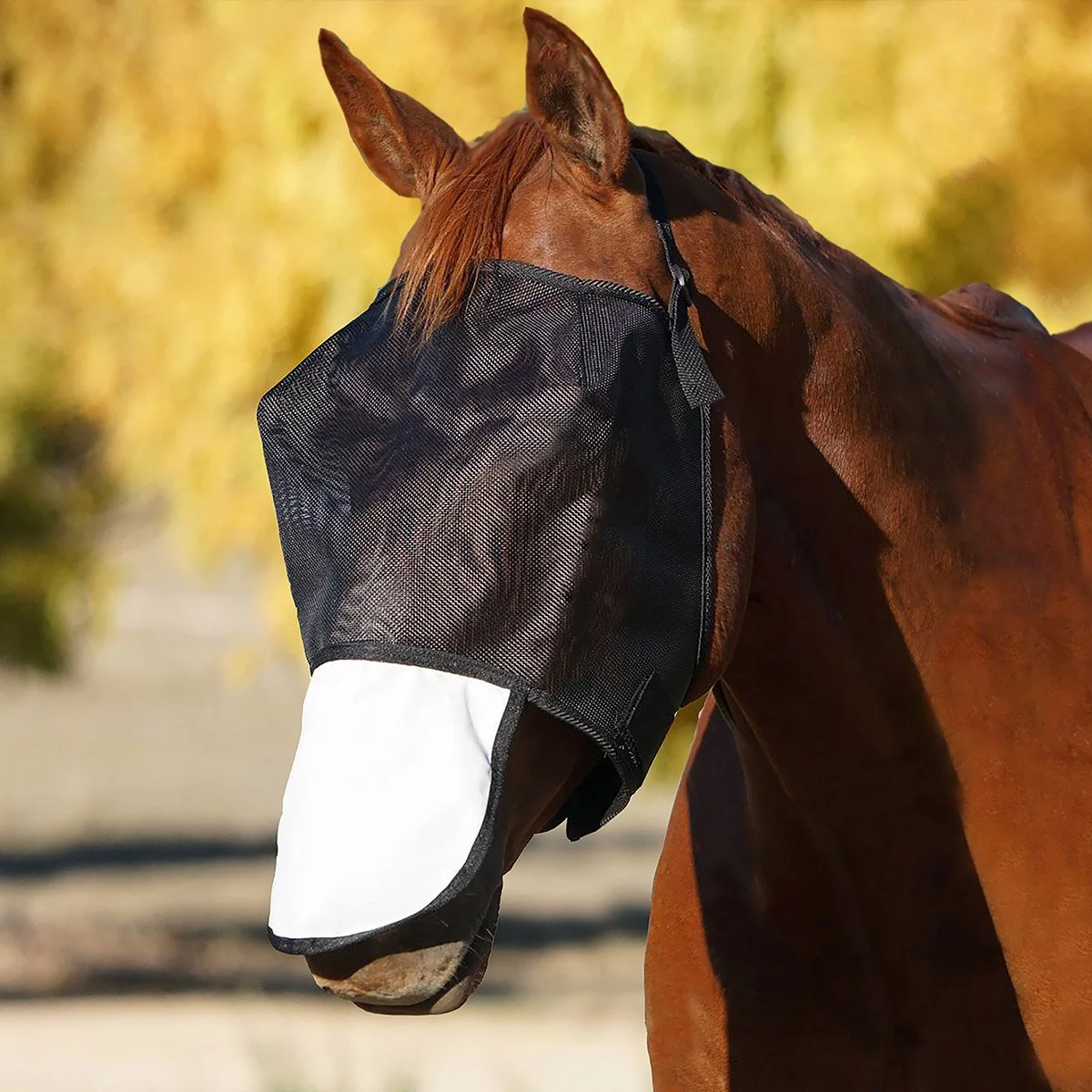 Standard Nose Cover Flyveil — Flyveils by Design