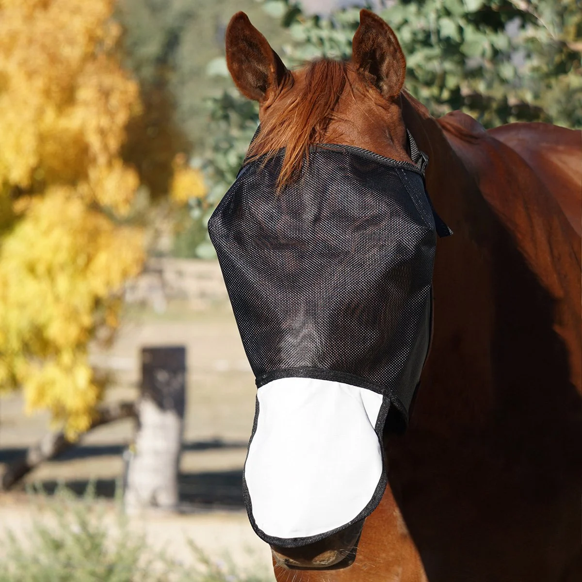Standard Nose Cover Flyveil — Flyveils by Design