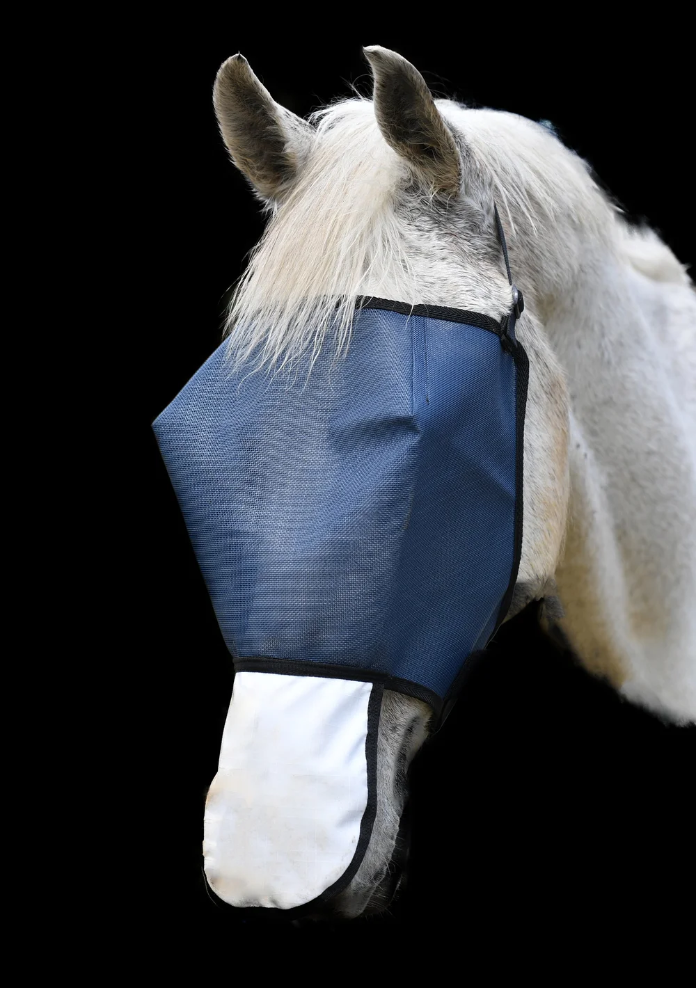 Standard Nose Cover Flyveil — Flyveils by Design