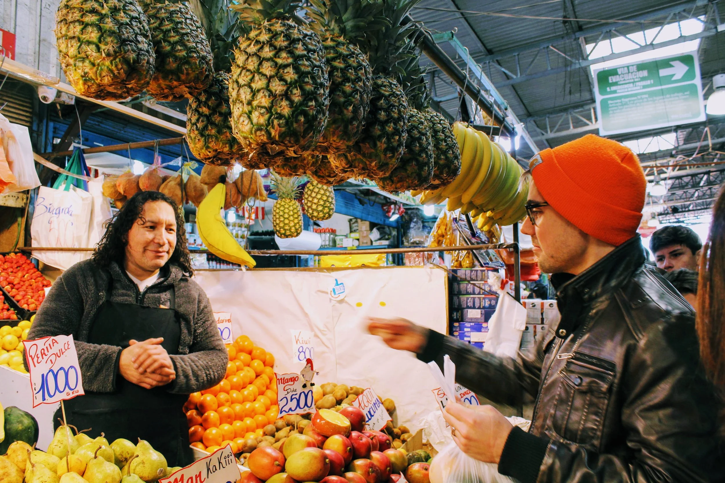 5 Market Tour of Santiago — bianca rods