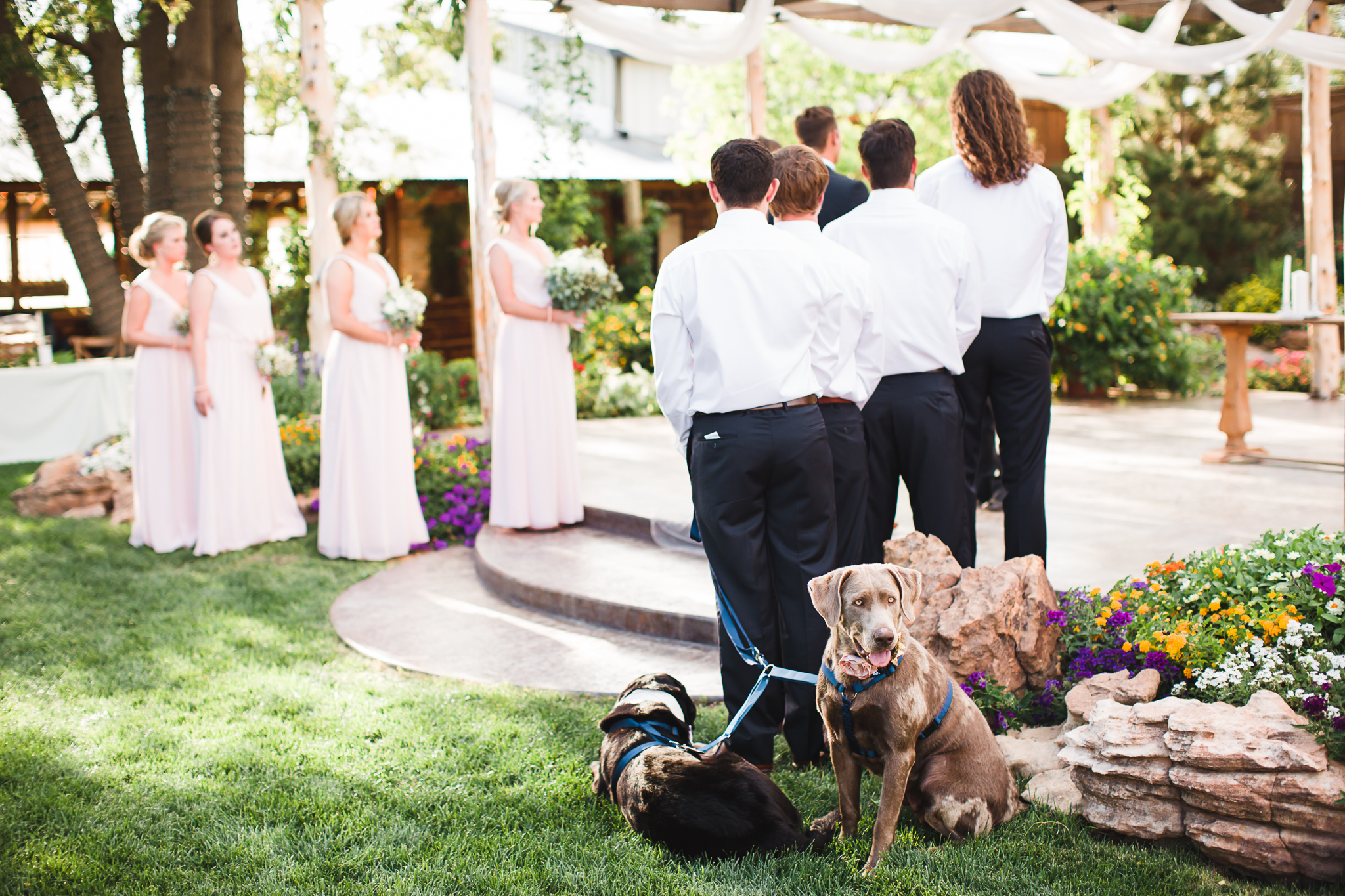 Celia + Blake | Wedding at The Resplendent Garden in Amarillo, Texas ...