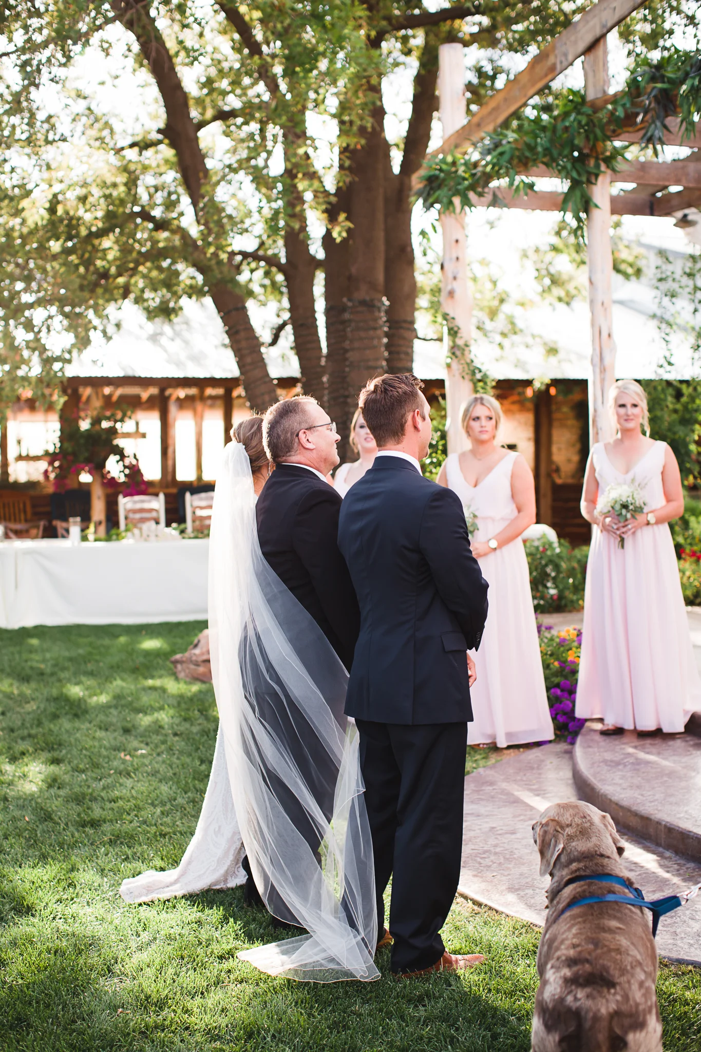 Celia + Blake | Wedding at The Resplendent Garden in Amarillo, Texas ...