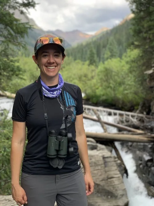 MSI Team — Mountain Studies Institute