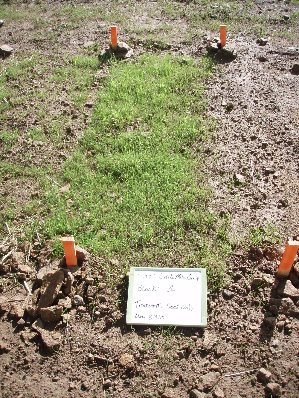 Biochar for Mine Lands Remediation — Mountain Studies Institute