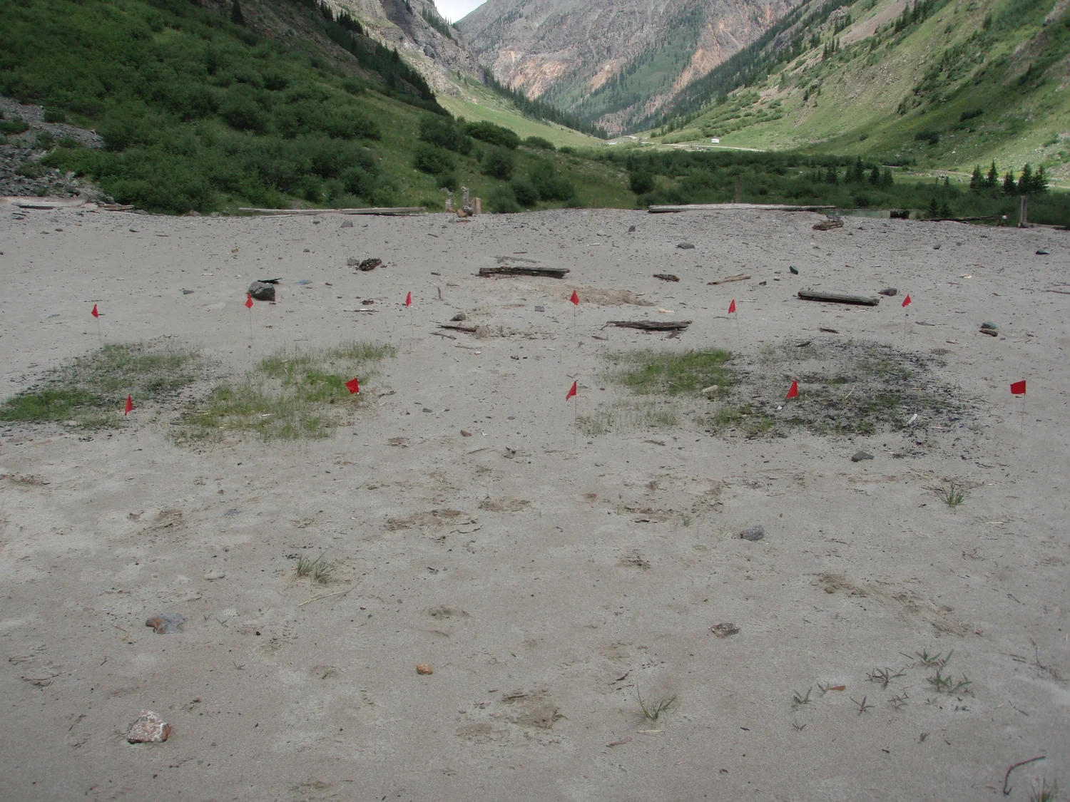 Biochar for Mine Lands Remediation — Mountain Studies Institute