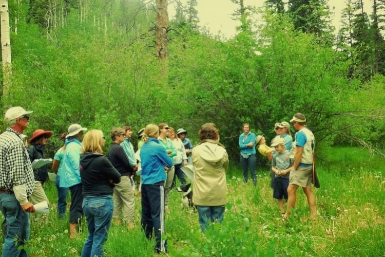 Mountain Learning — Mountain Studies Institute