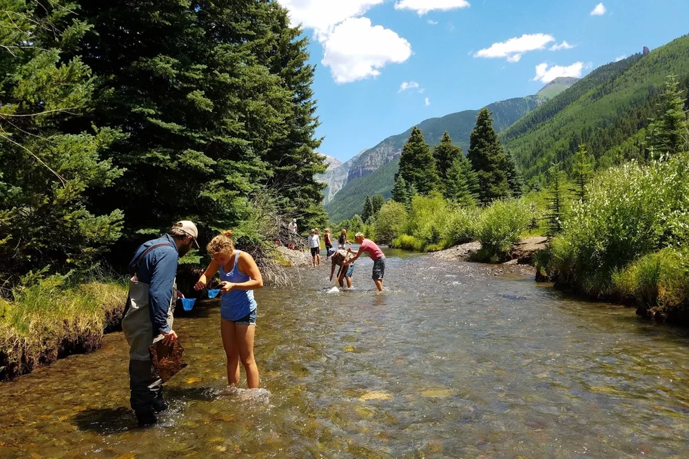 Community Science — Mountain Studies Institute