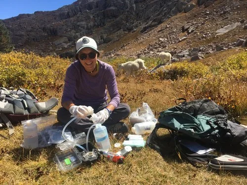 MSI Team — Mountain Studies Institute