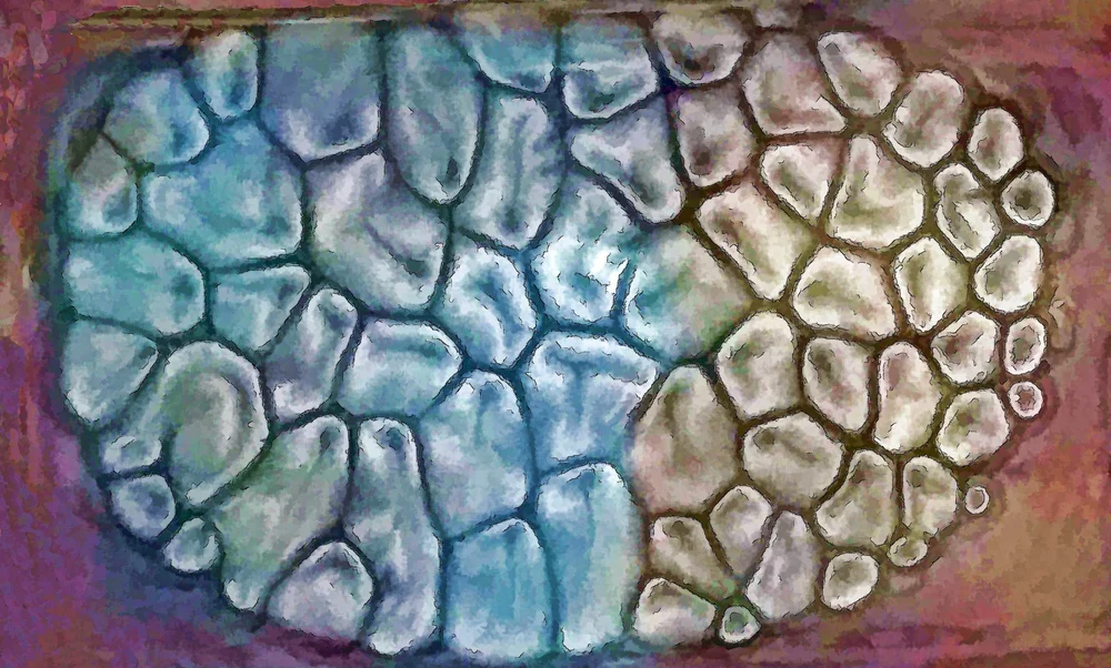 Mixing Media: Encaustic into Pattern Design — Carlyn Clark