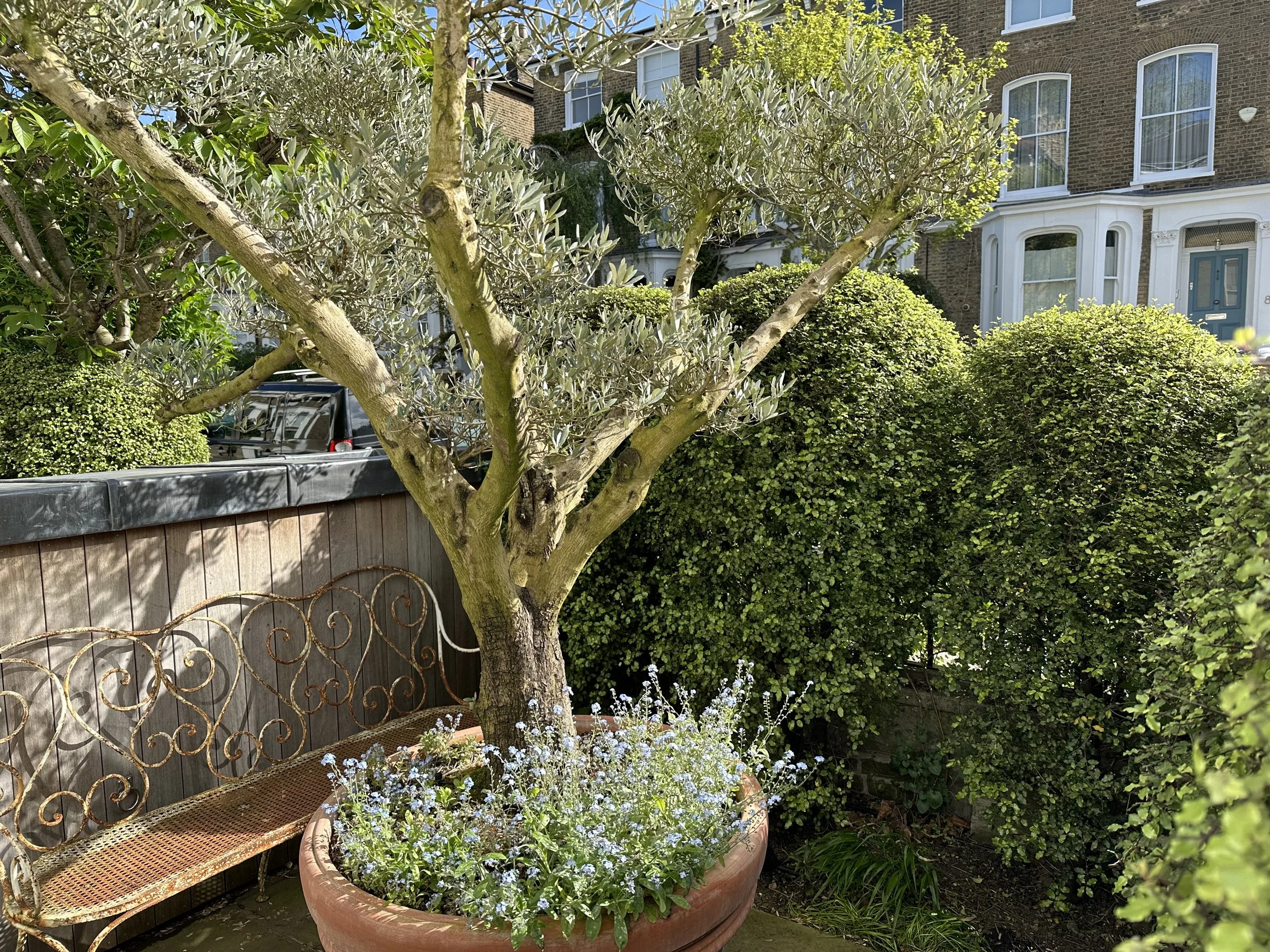 Gallery — CALI RAND