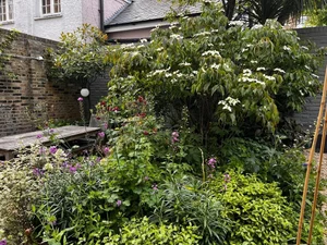 Gallery — CALI RAND