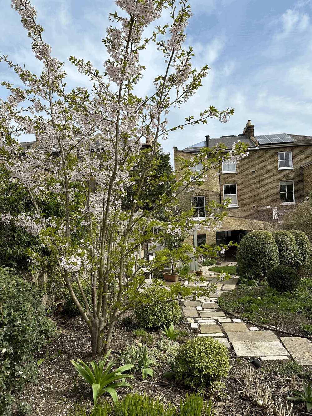 Gallery — CALI RAND