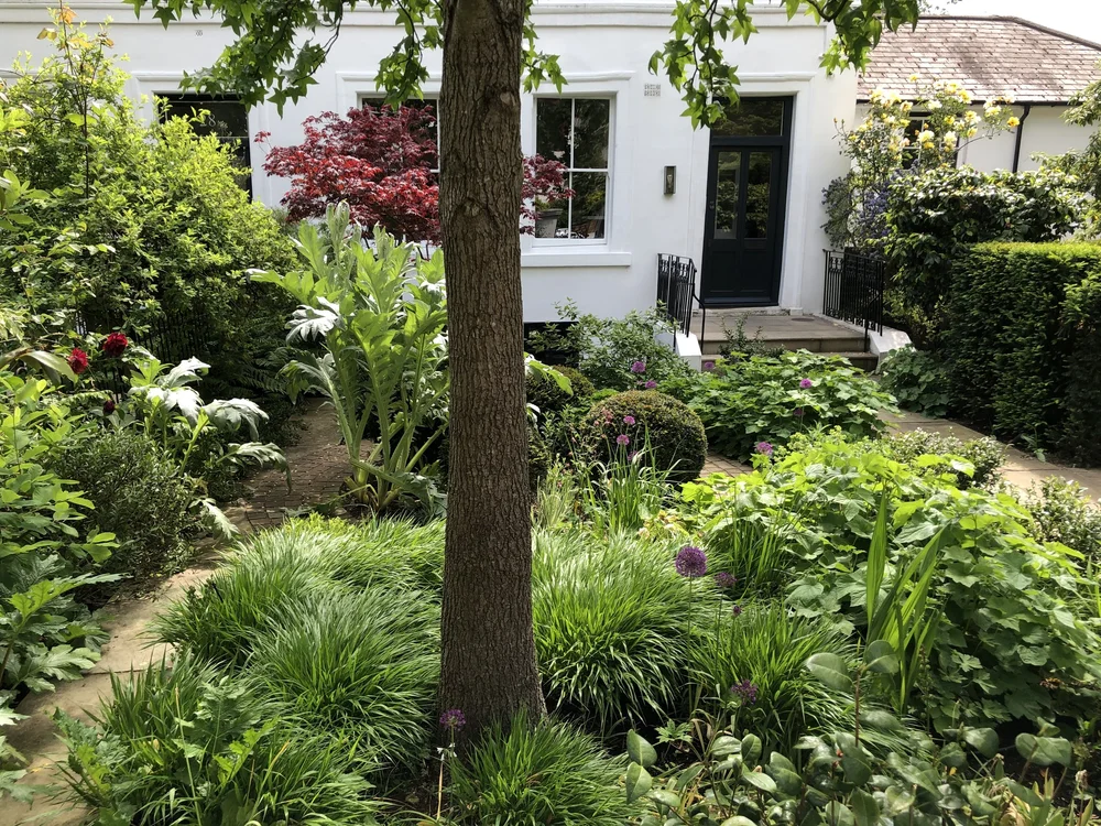 Gallery — CALI RAND