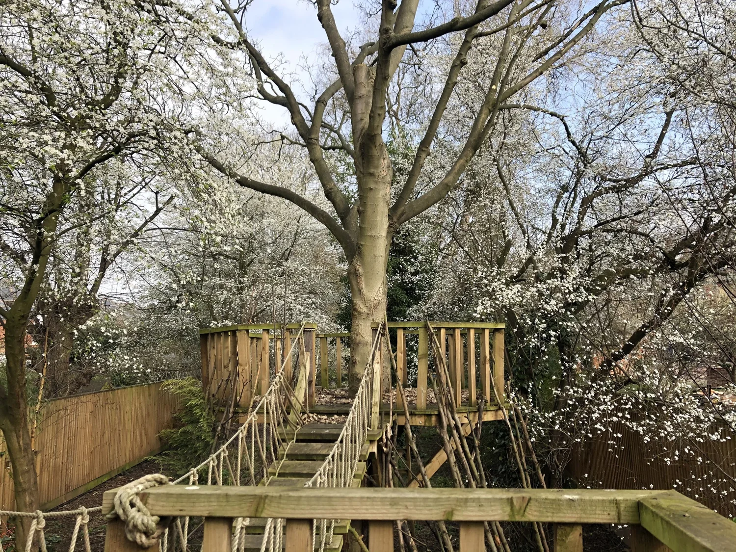 Gallery — CALI RAND