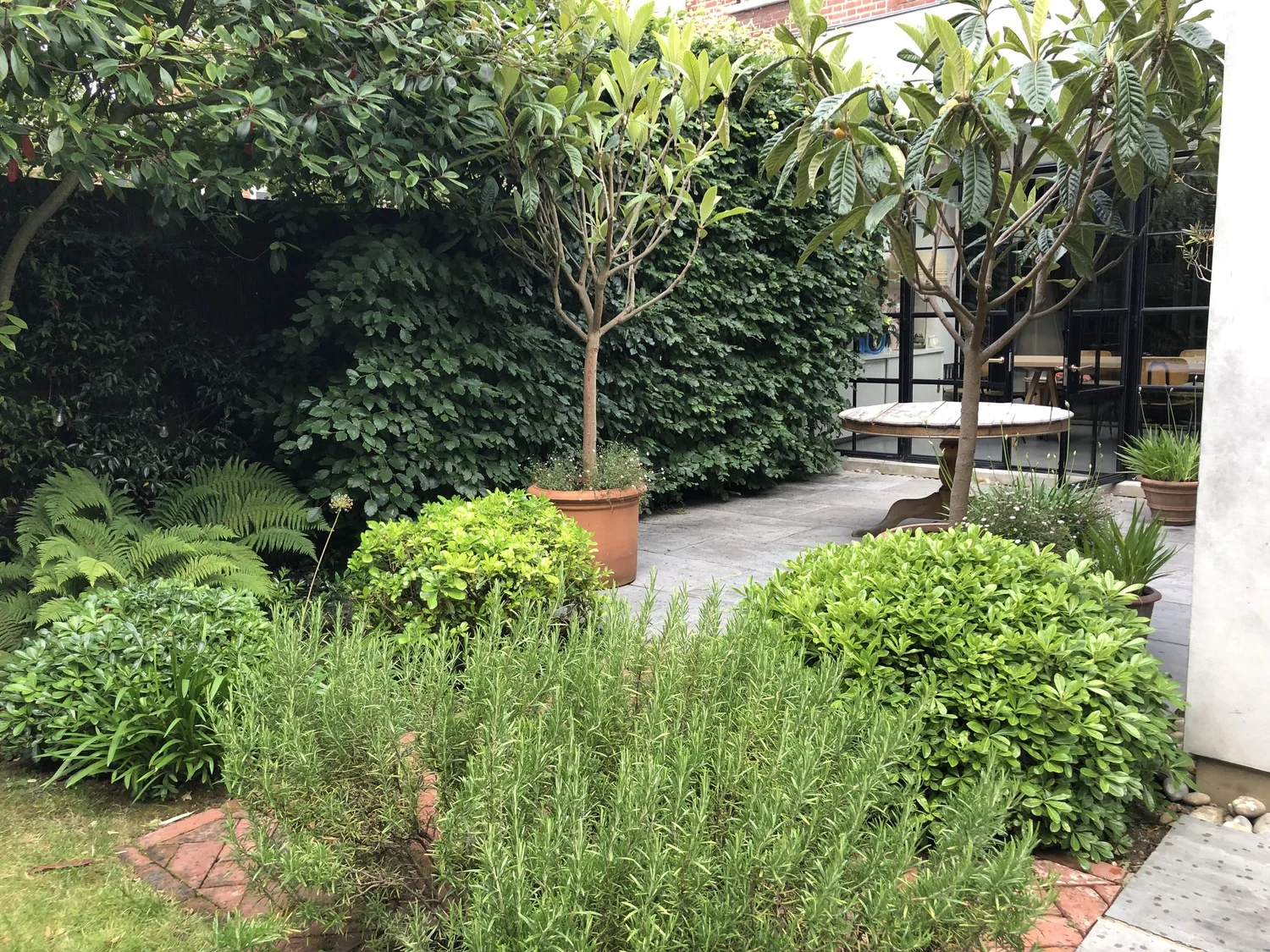 Gallery — CALI RAND