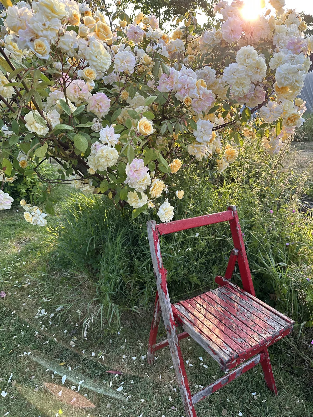 Gallery — CALI RAND