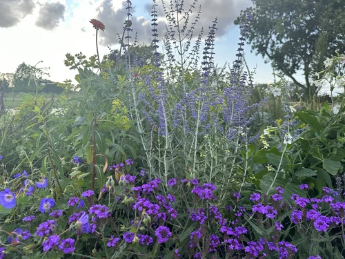 Gallery — CALI RAND