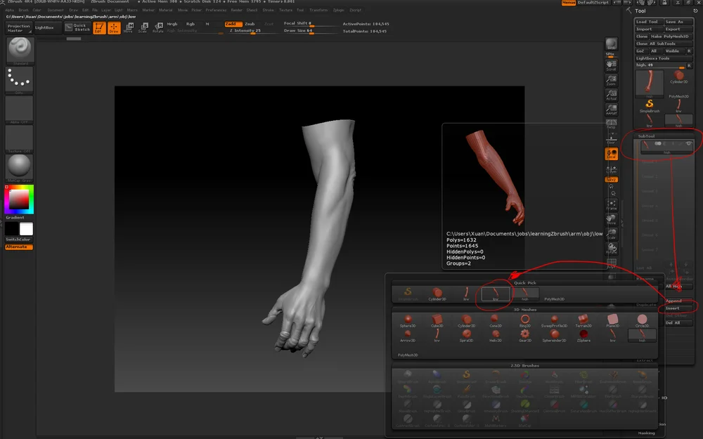 Projecting details in Zbrush — xuan prada