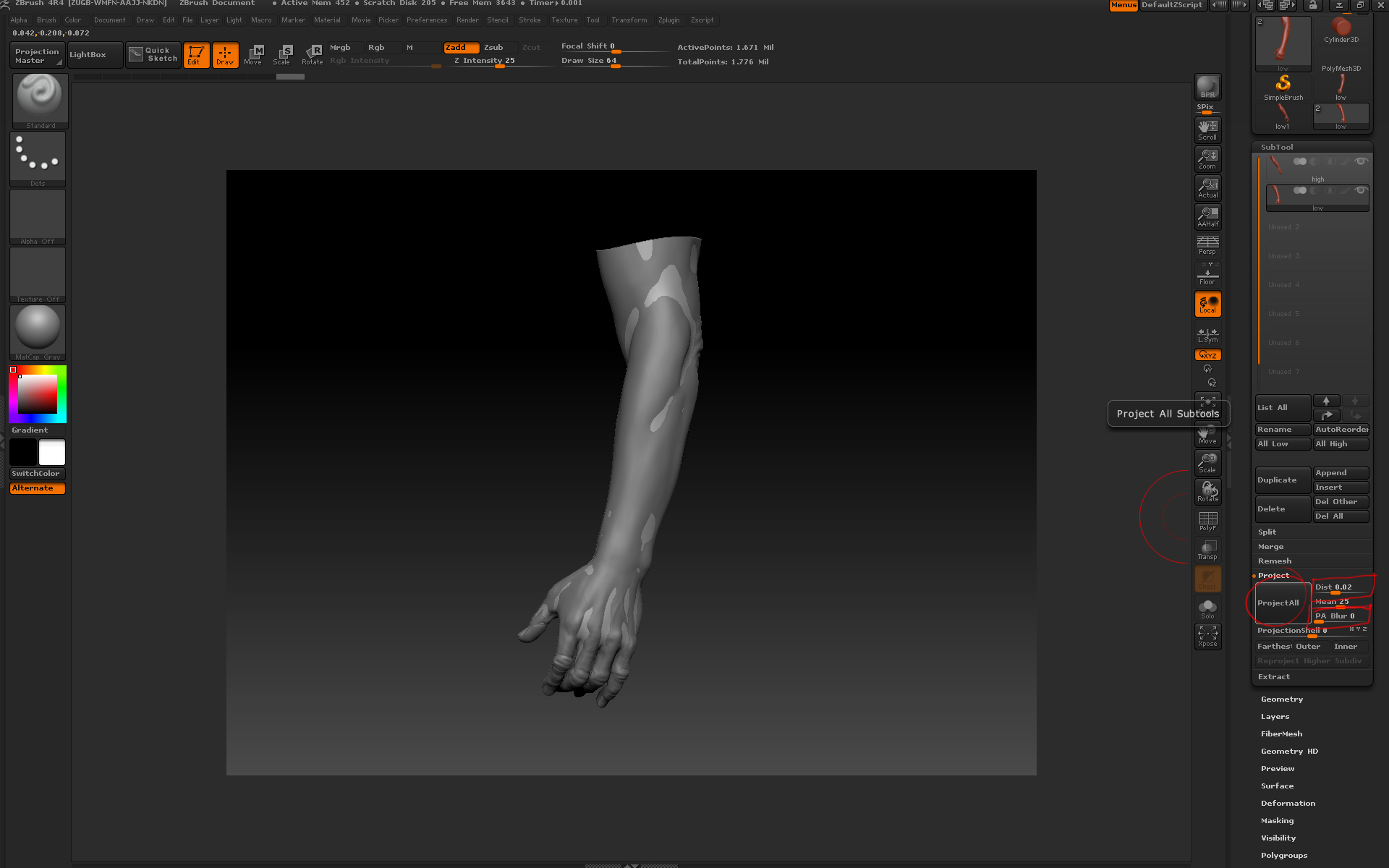 Projecting details in Zbrush — xuan prada