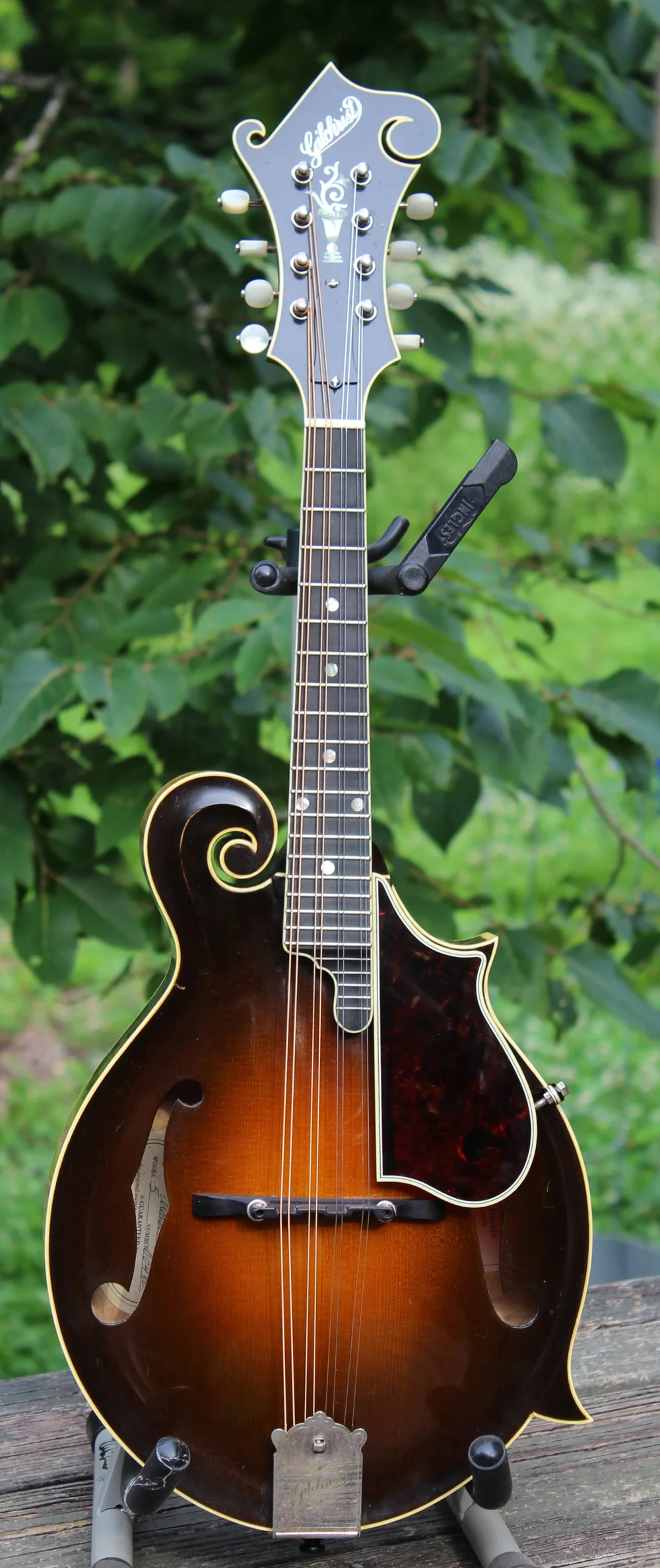 Instruments for sale — Mandolin Central