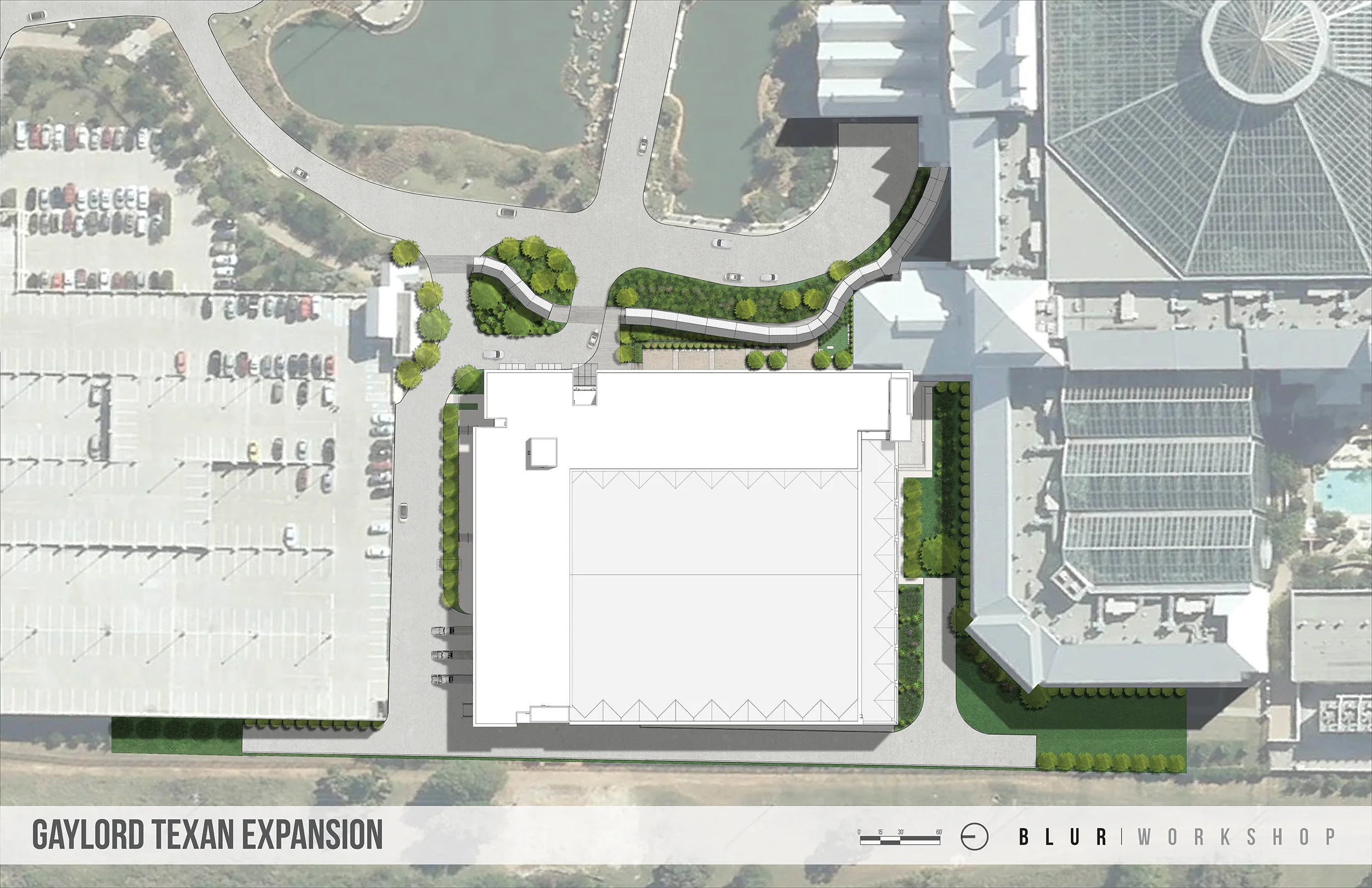 GAYLORD TEXAN — BLUR Workshop