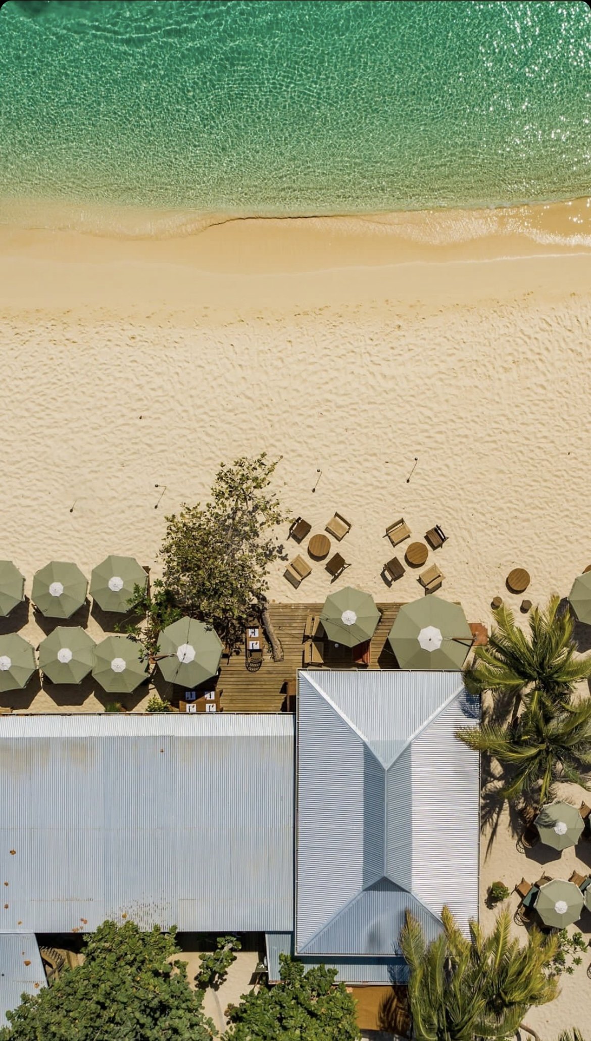 BONNY MOON BEACH CLUB — BLUR Workshop