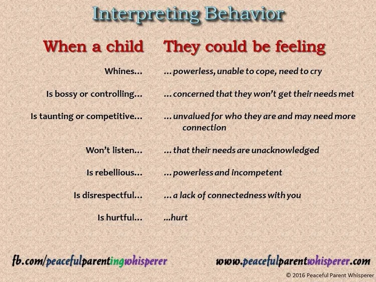 The Art of Interpreting Children's Behavior — Marji Zintz, The Peaceful ...