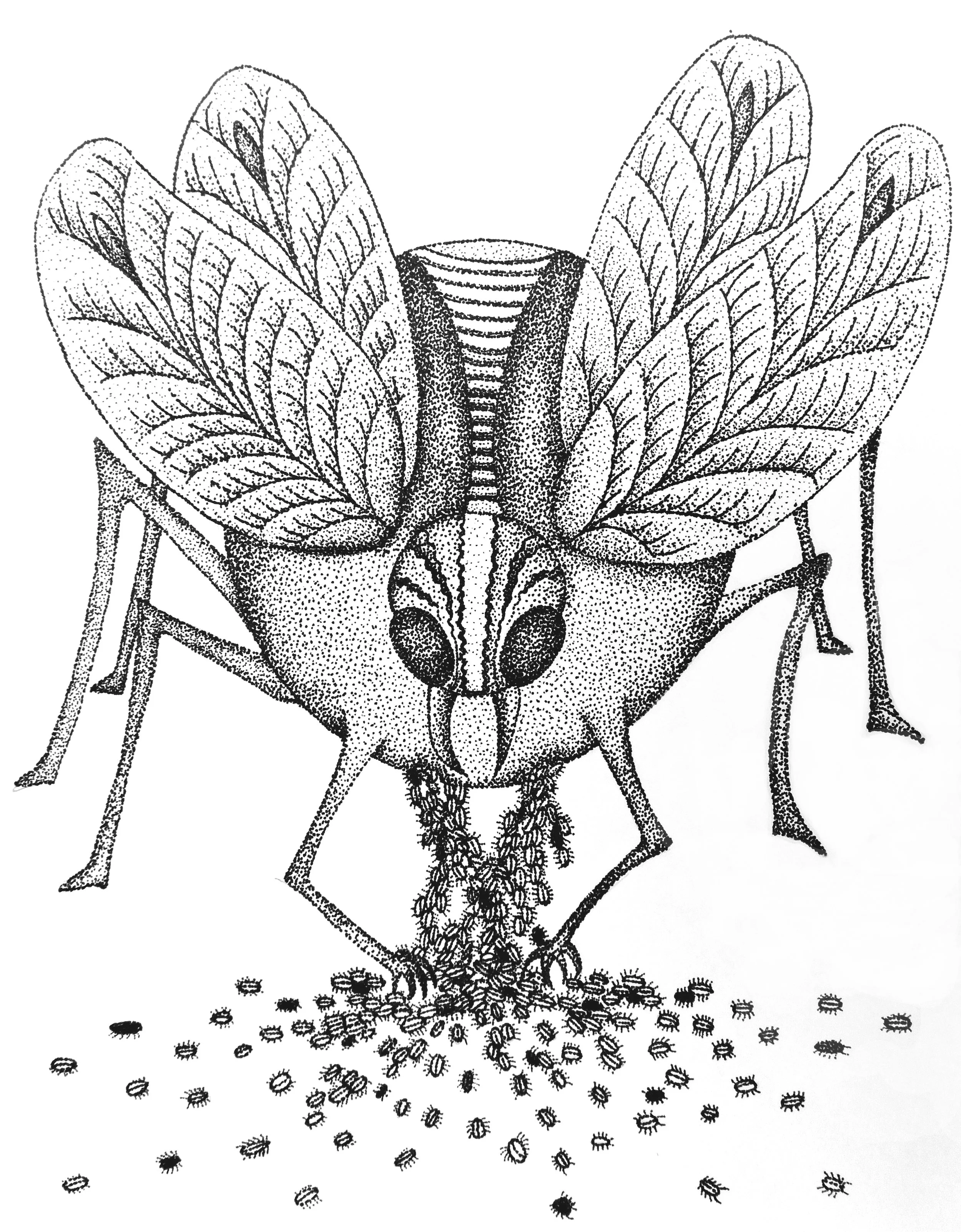 Monster Encyclopedia: Bogar — Ariele Sieling