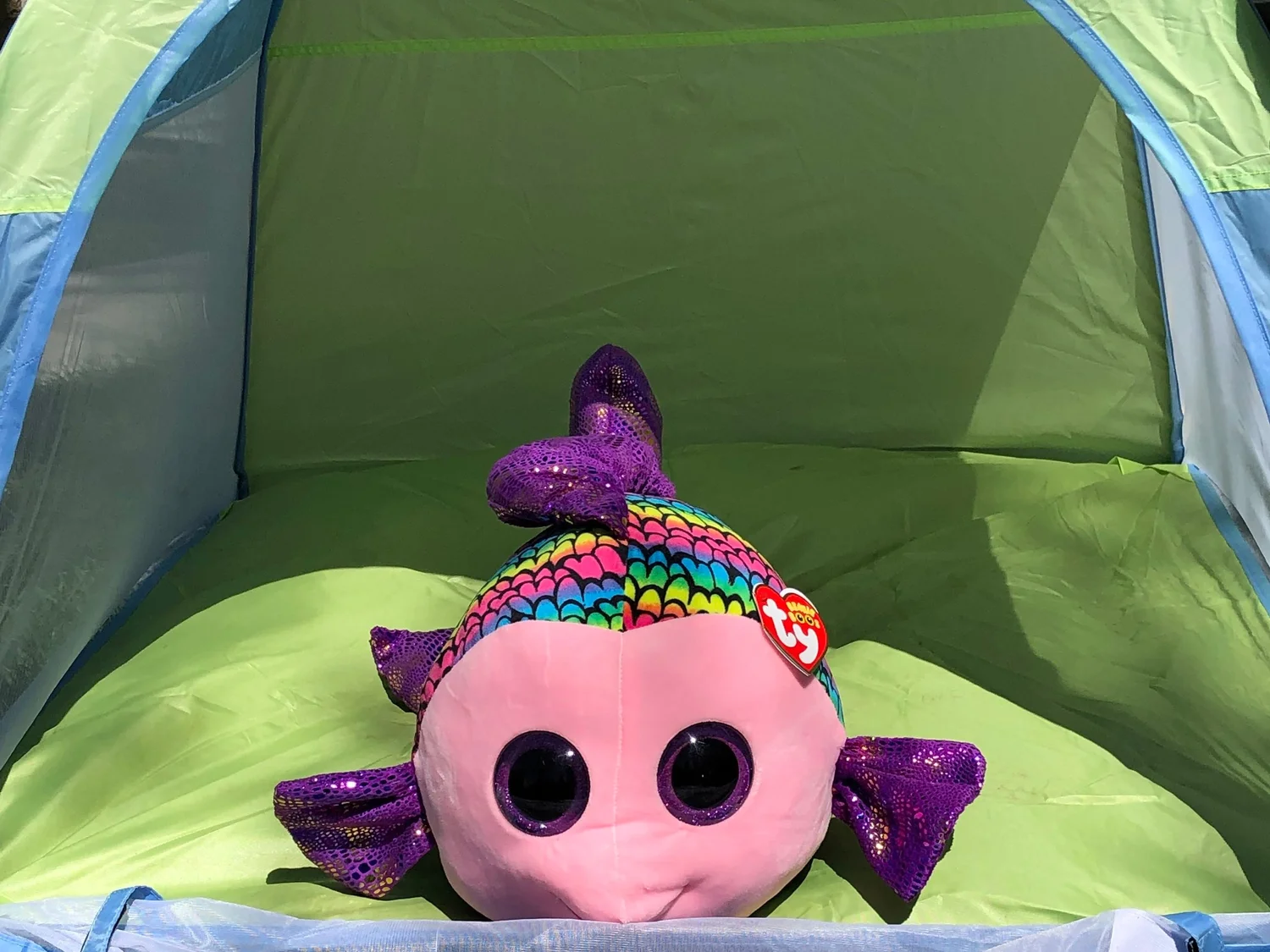 Products — G. Willikers