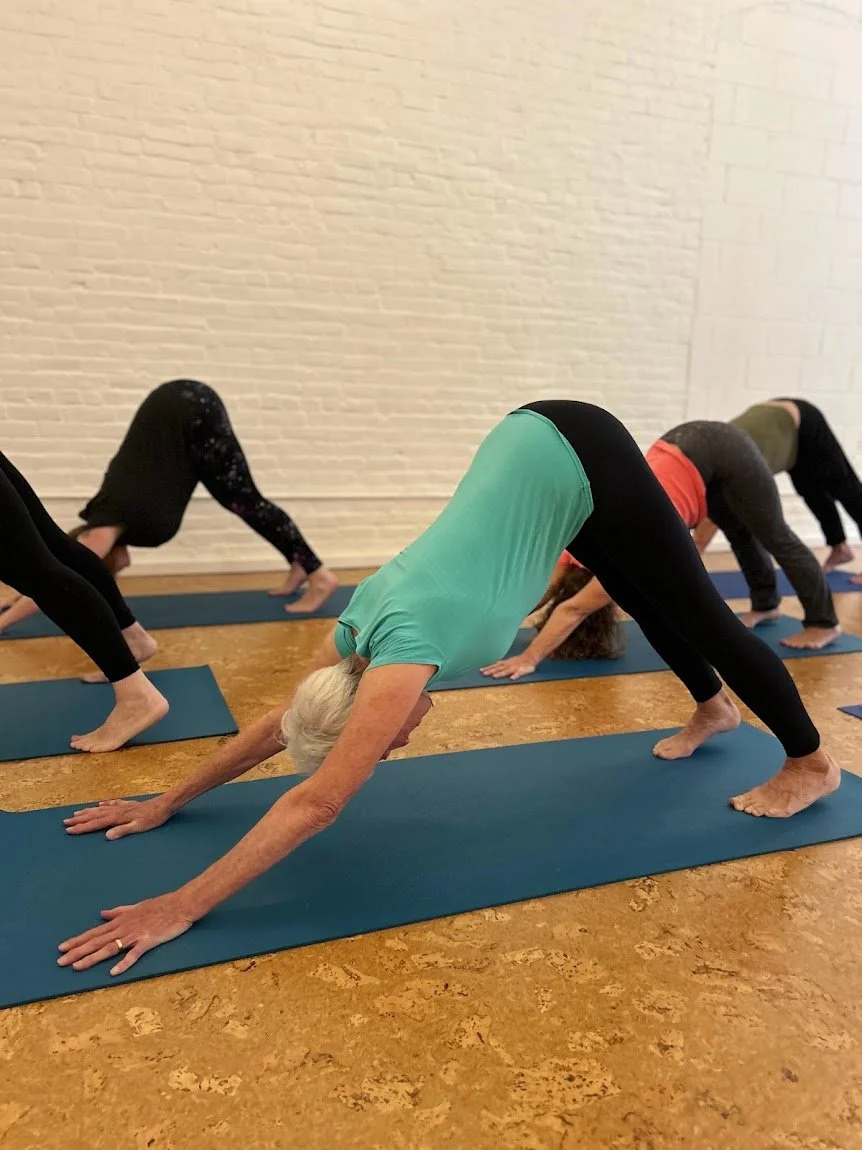 Motion Center Yoga Studio - Providence area Yoga studio for Iyengar ...