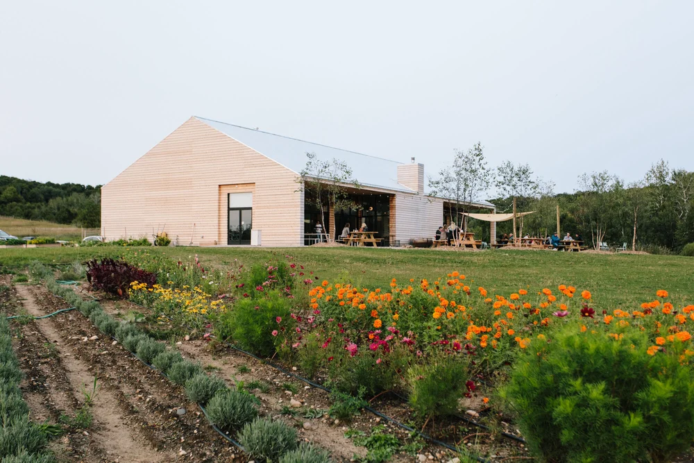 Farm Club — Designsmiths