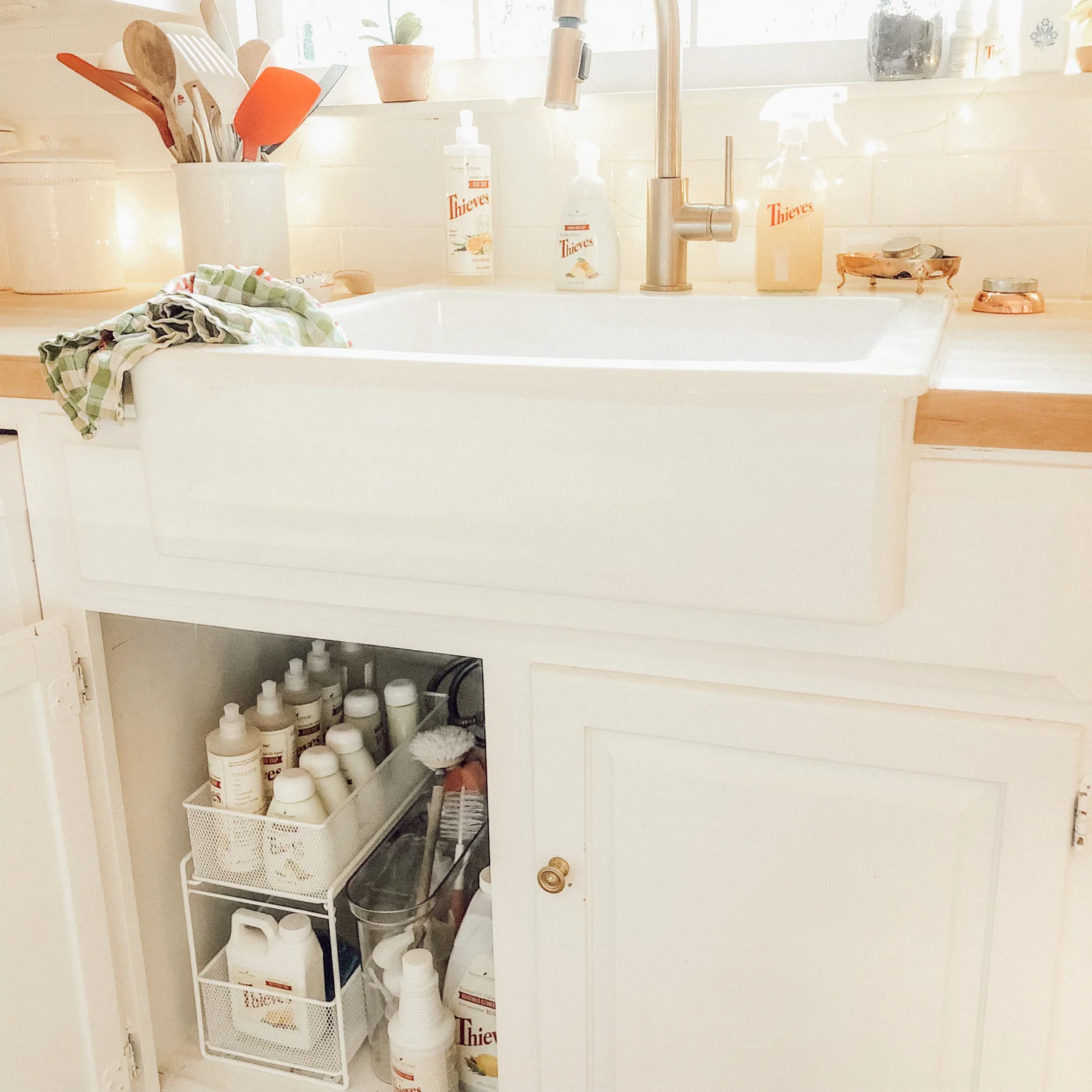 Thieves Kit — CaseyLeigh Essentials