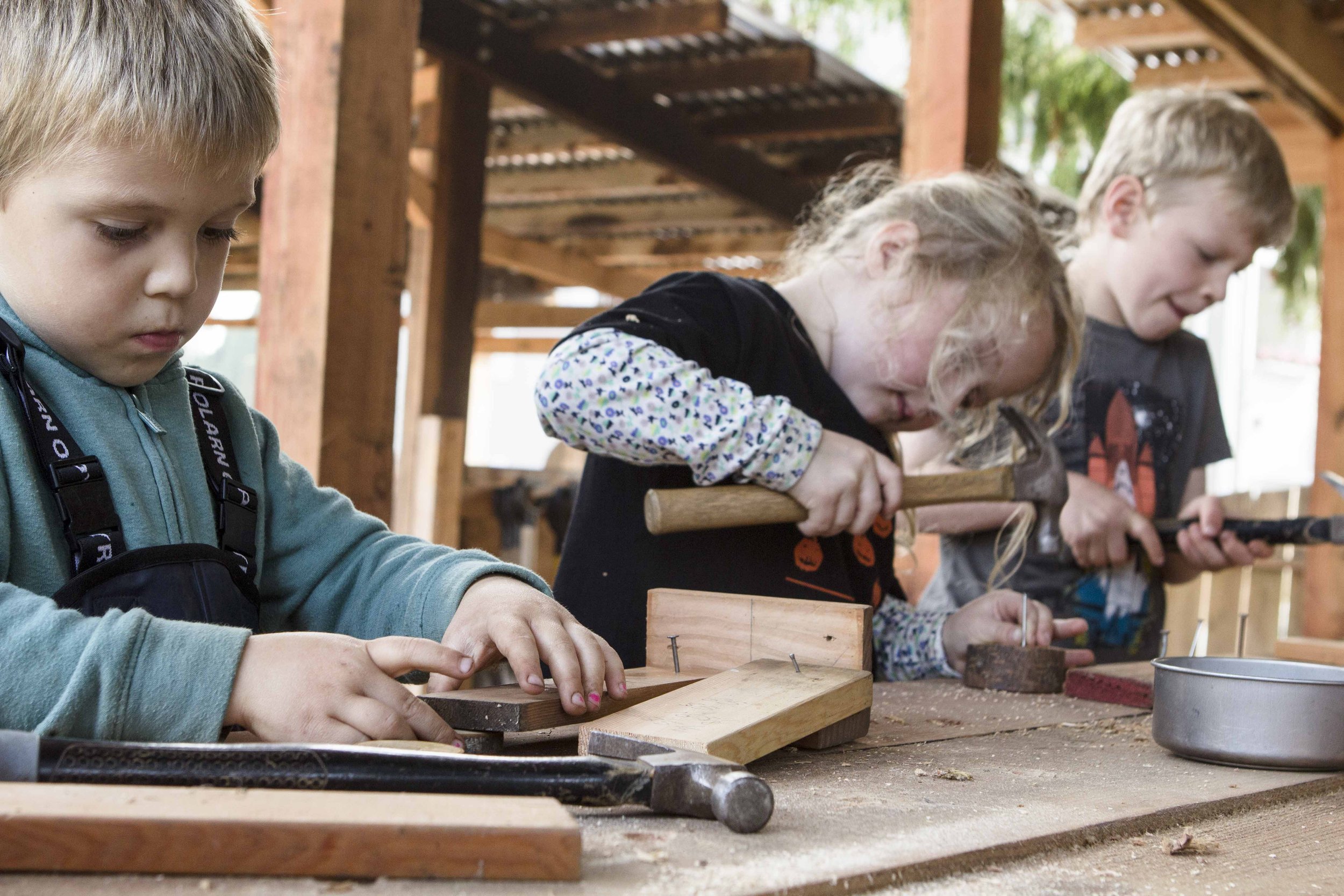 Madrona School At a Glance — Madrona School