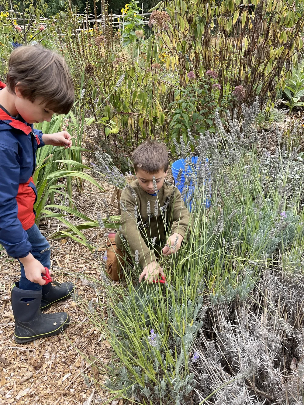 Home [www.madronaschool.org]