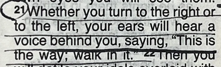 The Prophecy — Links of Utopia