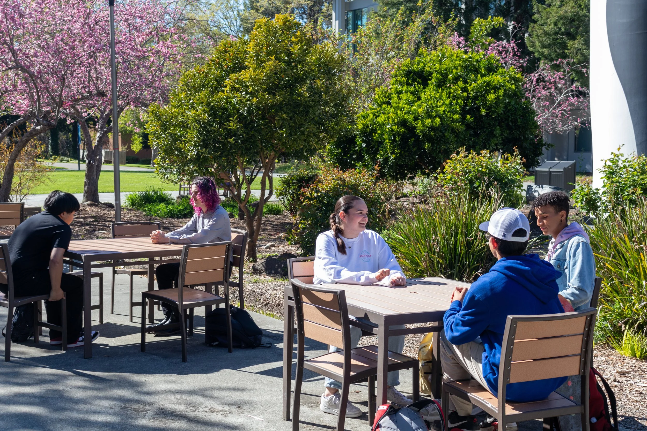 Why Be A Brandbassador? — SEAWOLF LIVING