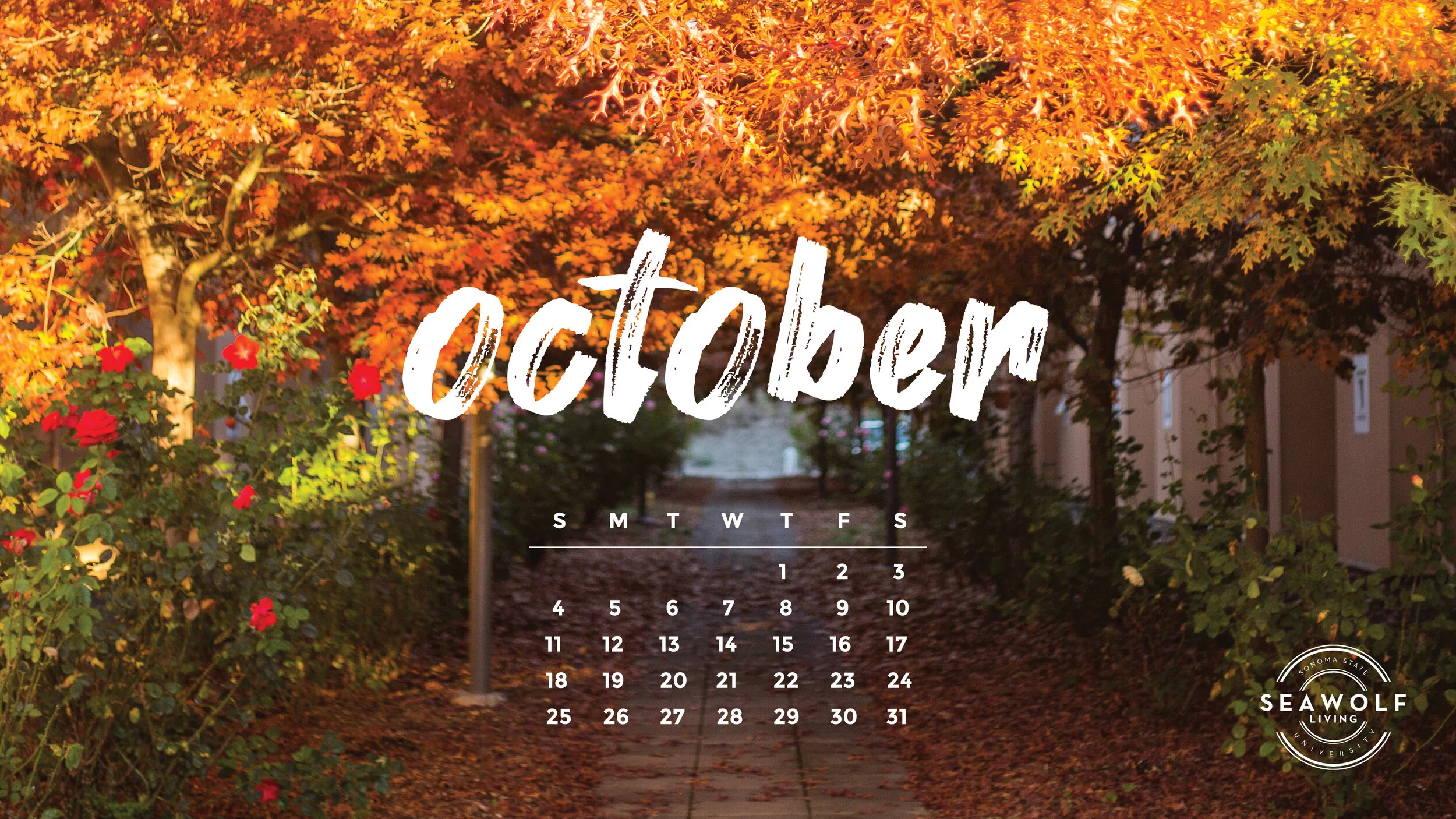 October 2020 Backgrounds — SEAWOLF LIVING