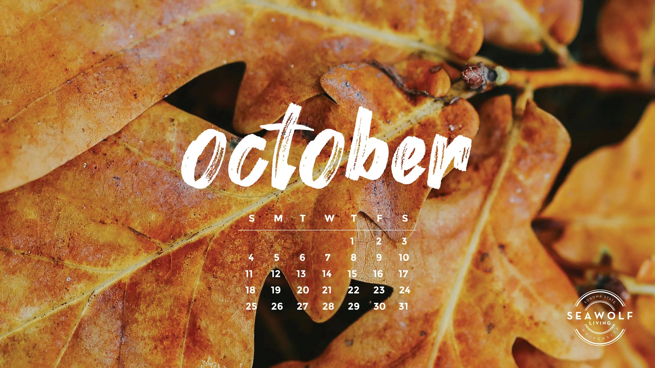 October 2020 Backgrounds — SEAWOLF LIVING