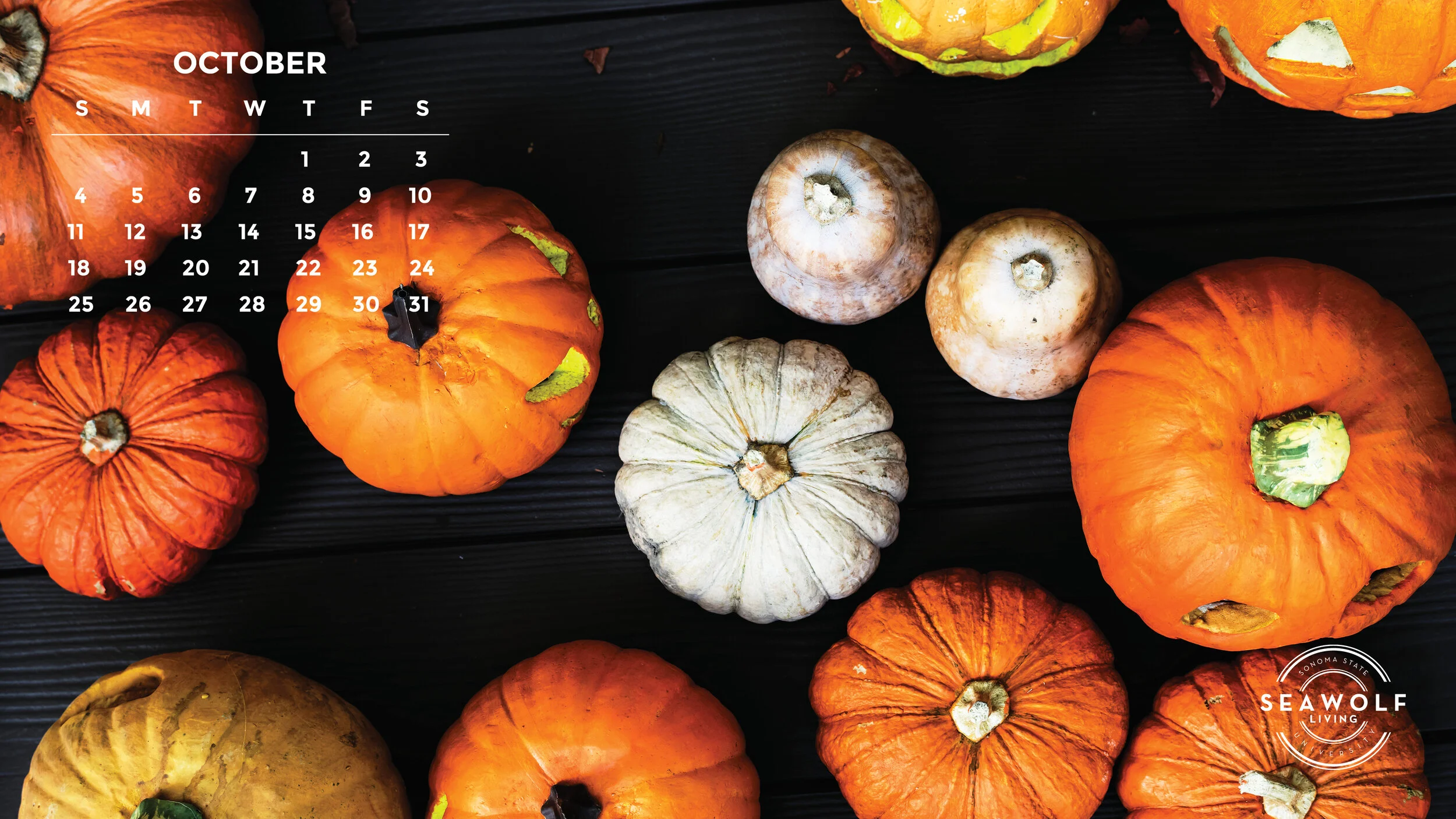 October 2020 Backgrounds — SEAWOLF LIVING