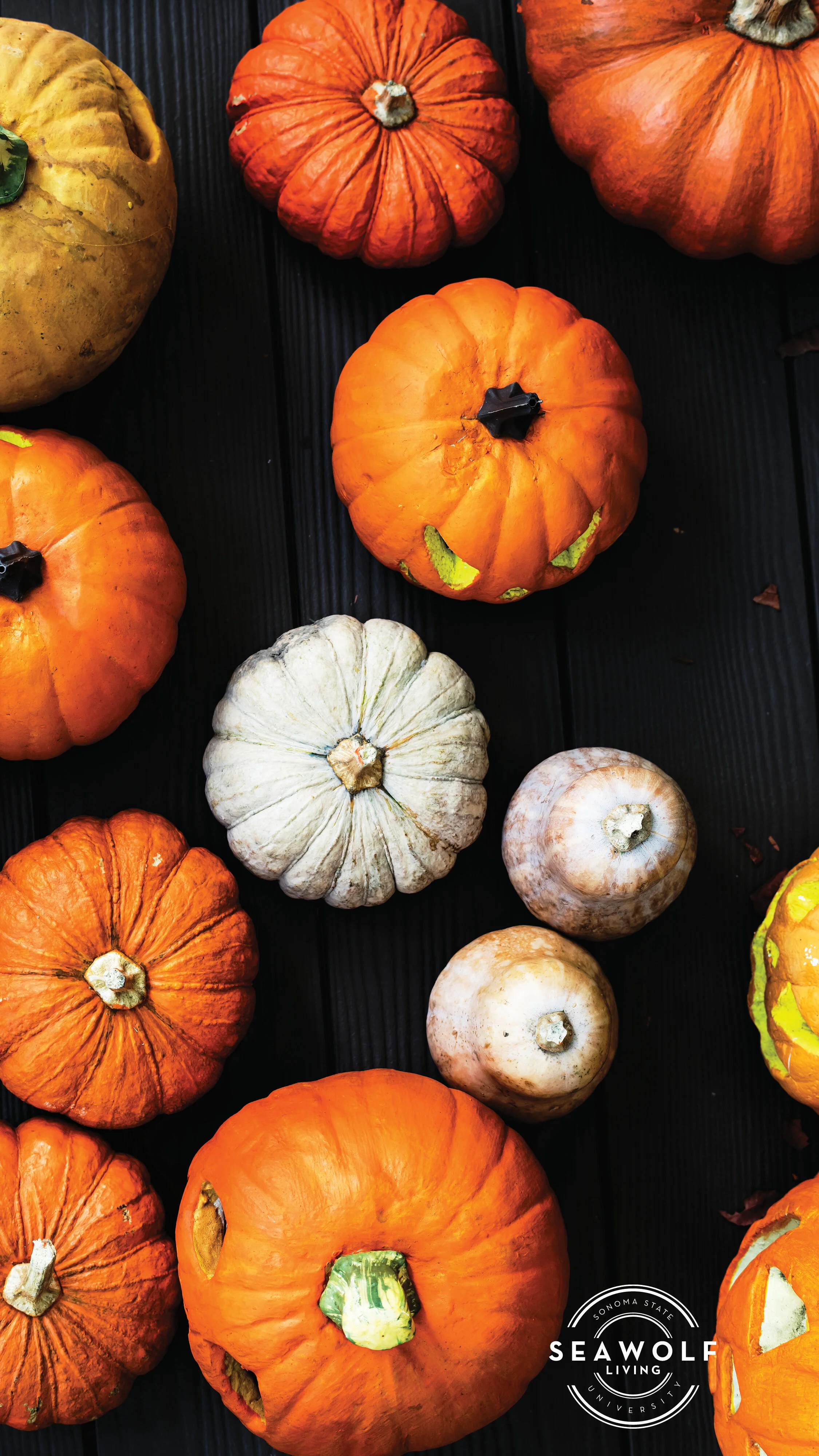 October 2020 Backgrounds — SEAWOLF LIVING