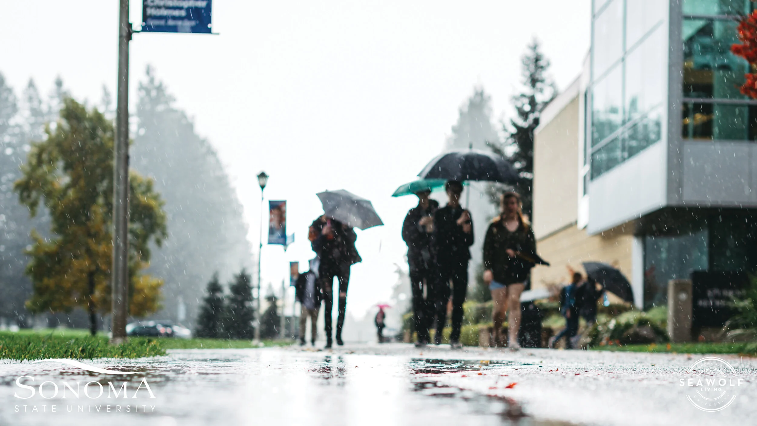 Winter Zoom Backgrounds — SEAWOLF LIVING