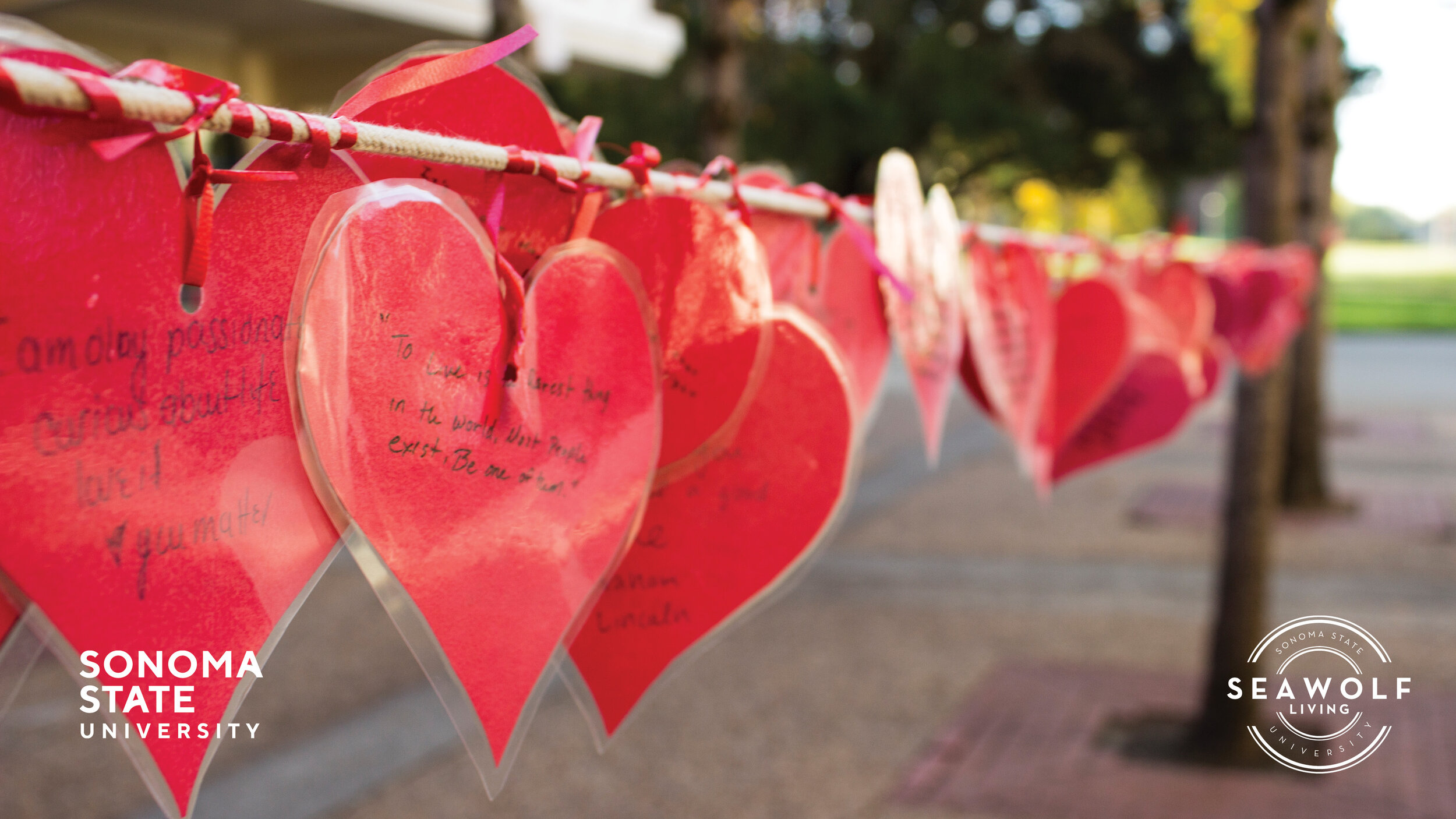 February Zoom Backgrounds — SEAWOLF LIVING