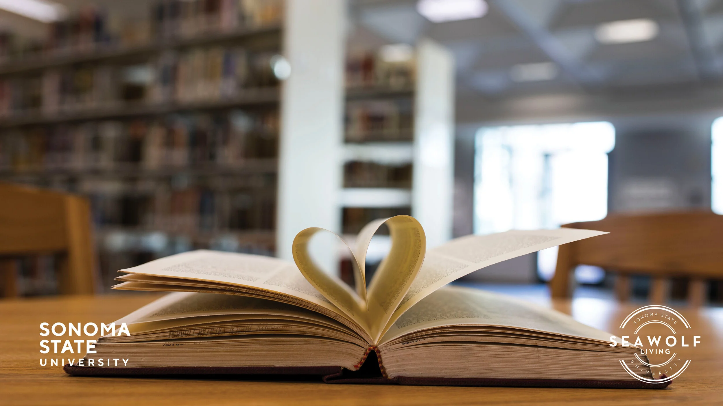 February Zoom Backgrounds — SEAWOLF LIVING