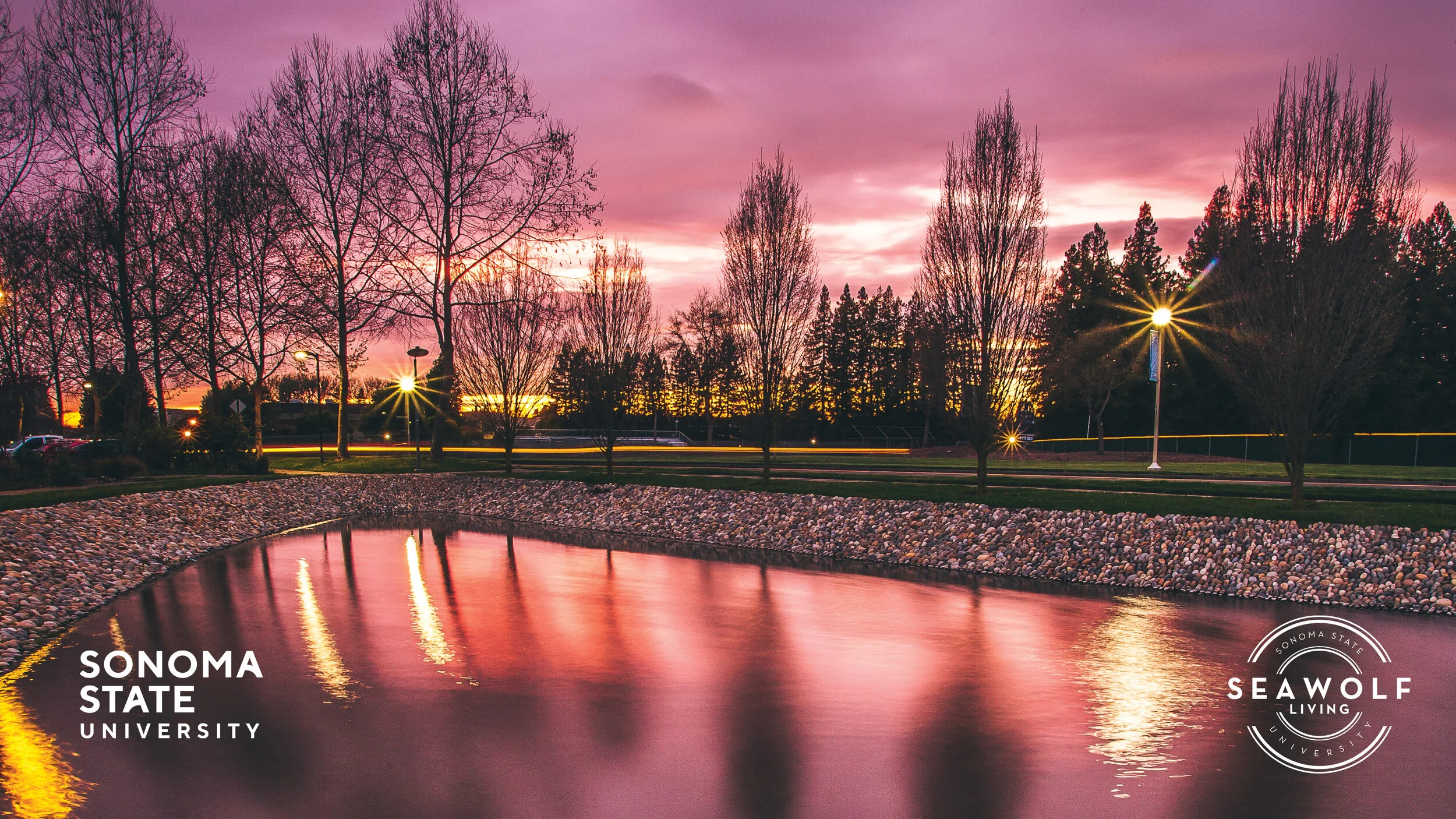 February Zoom Backgrounds — SEAWOLF LIVING