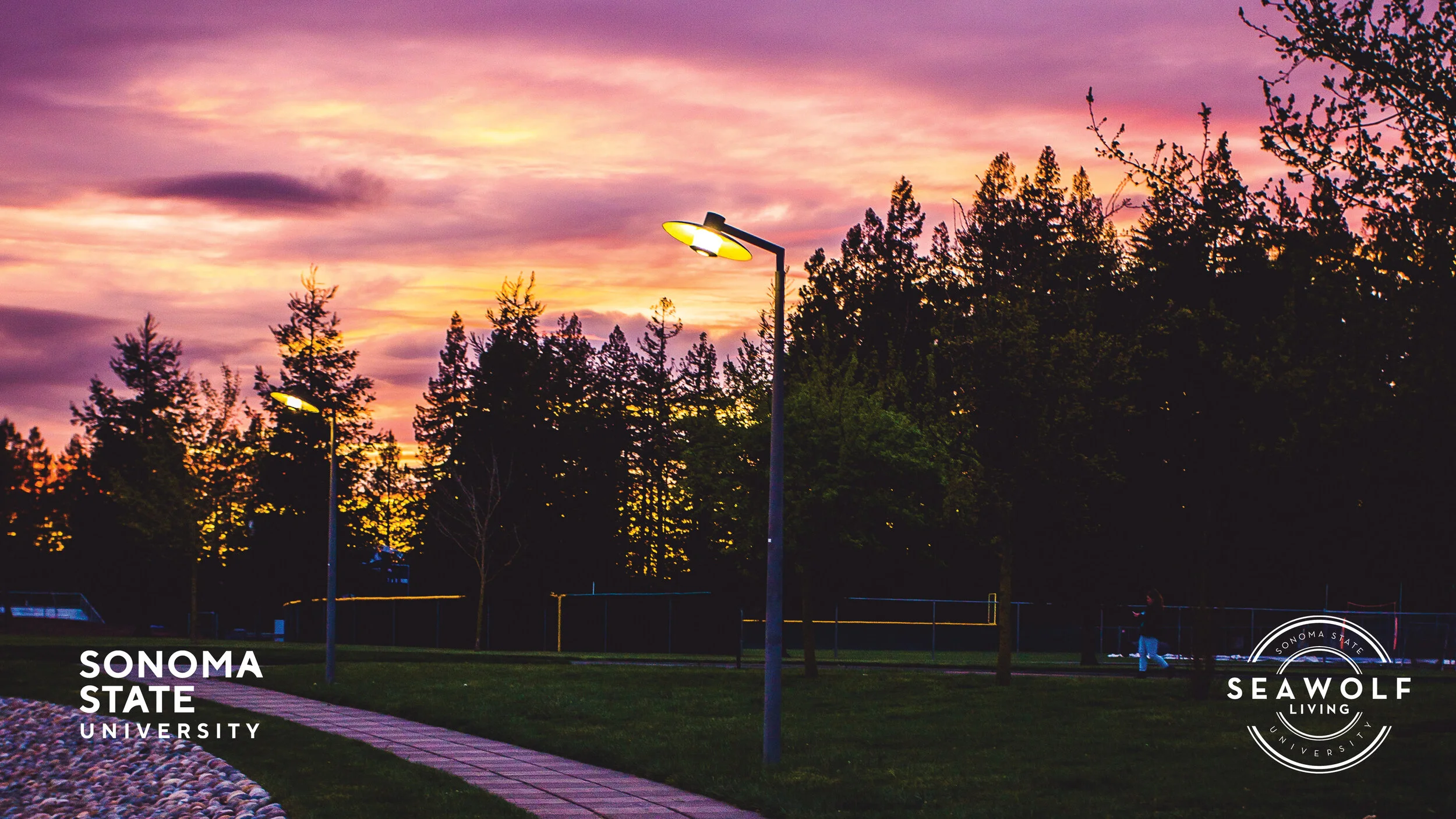 February Zoom Backgrounds — SEAWOLF LIVING