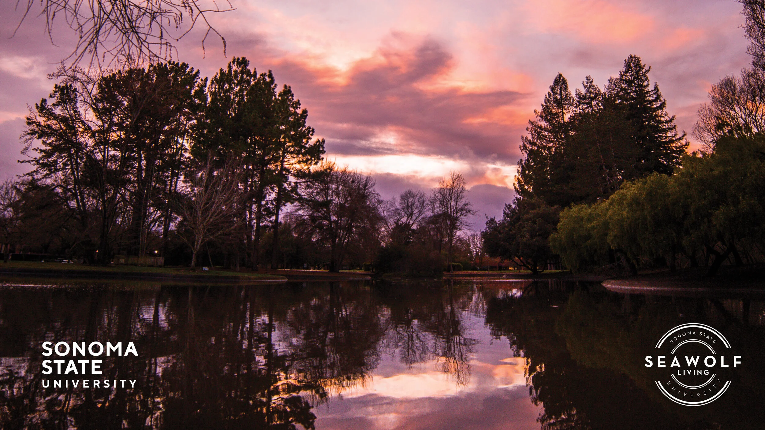 February Zoom Backgrounds — SEAWOLF LIVING