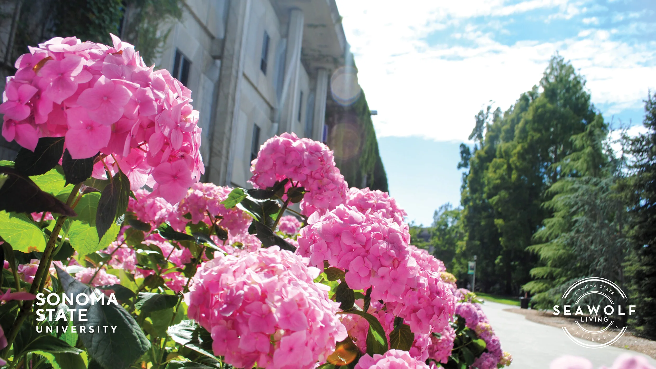 February Zoom Backgrounds — SEAWOLF LIVING