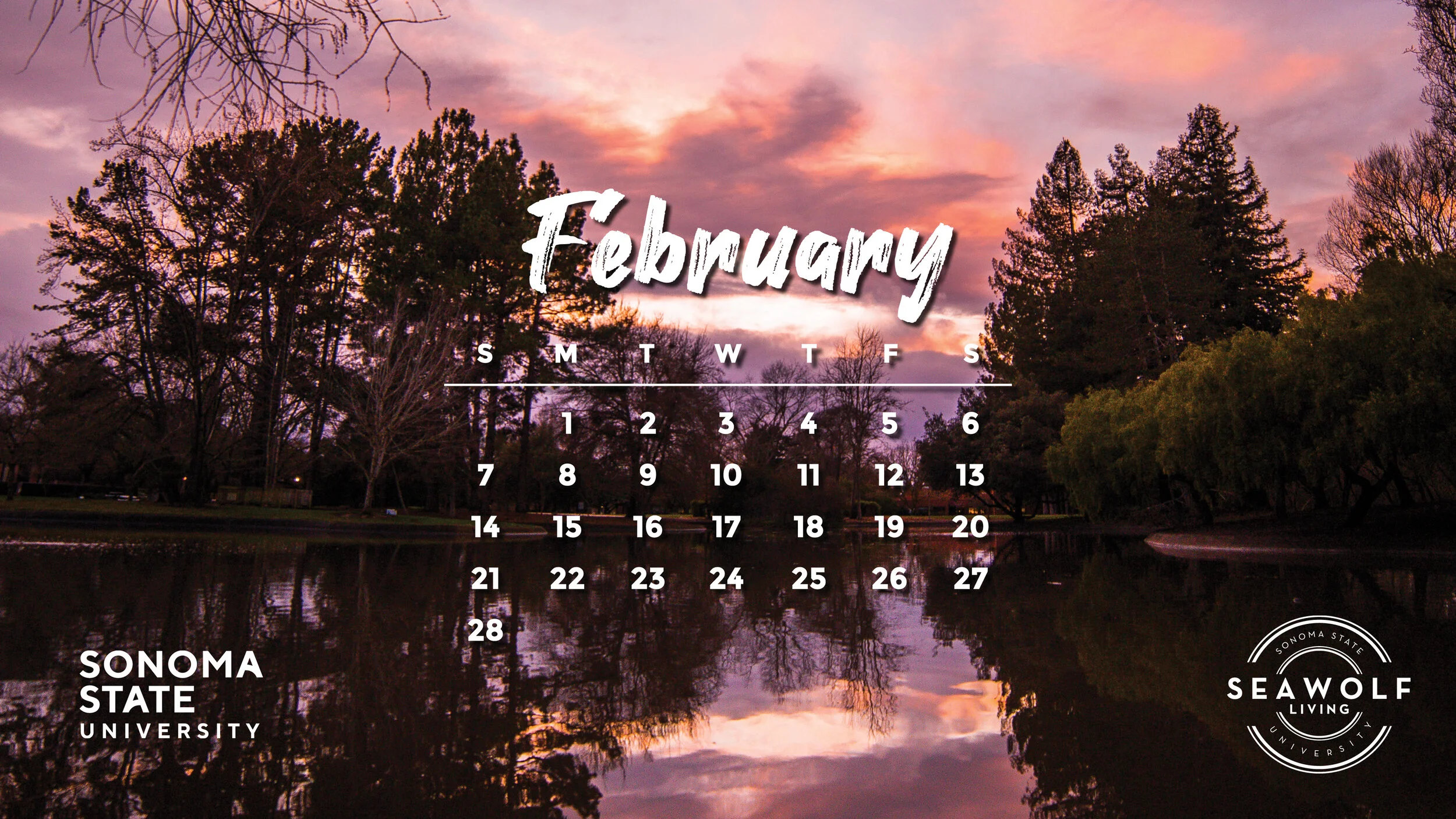 February 2021 Backgrounds — SEAWOLF LIVING