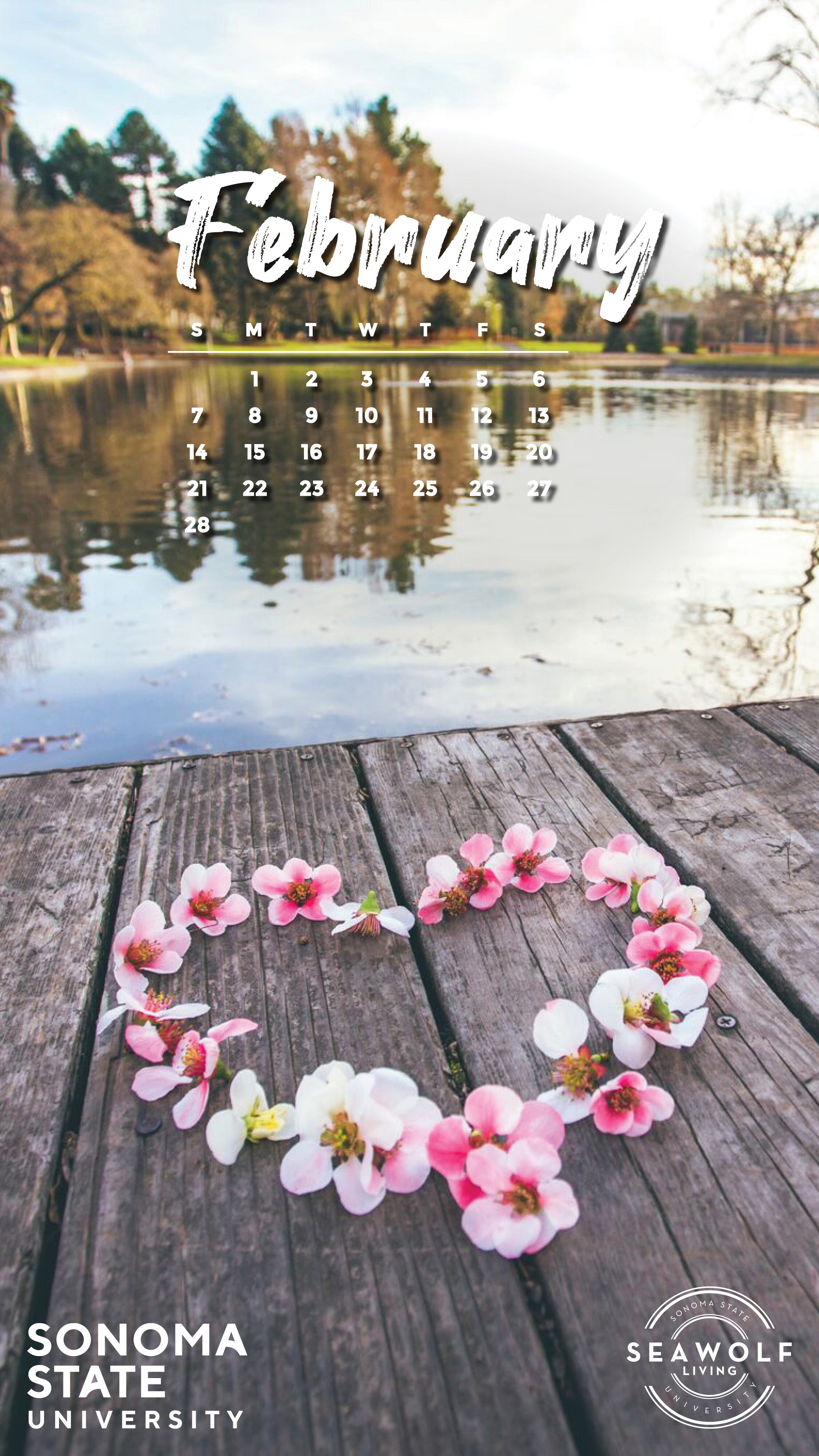 February 2021 Backgrounds — SEAWOLF LIVING